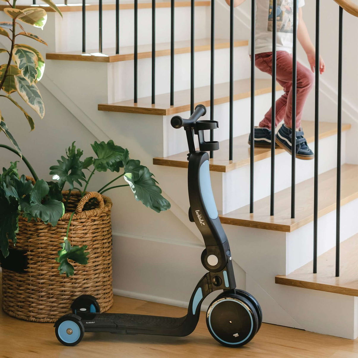 scoobi® 5-in-1 Convertible Scooter – Larktale Australia